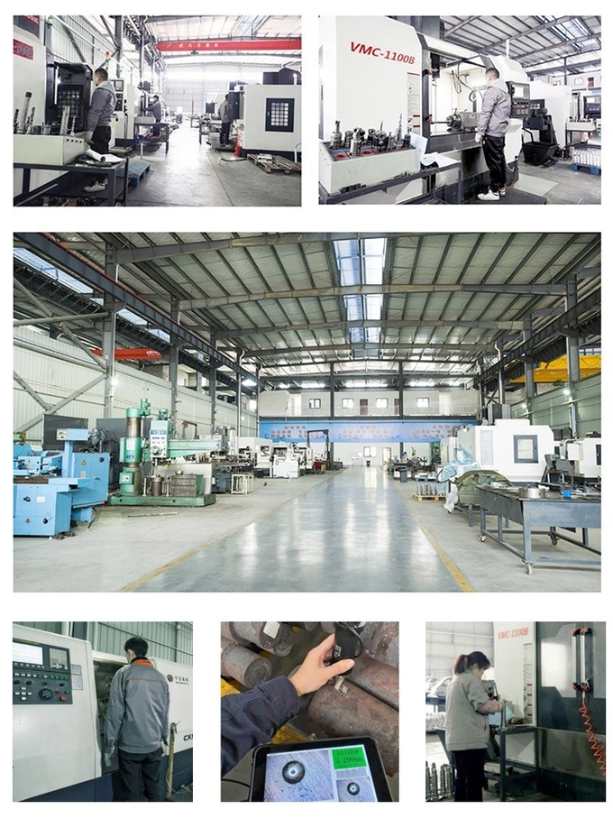 High Performance Twin Screw Extruder Parts Alloy imported WR5 Material ...